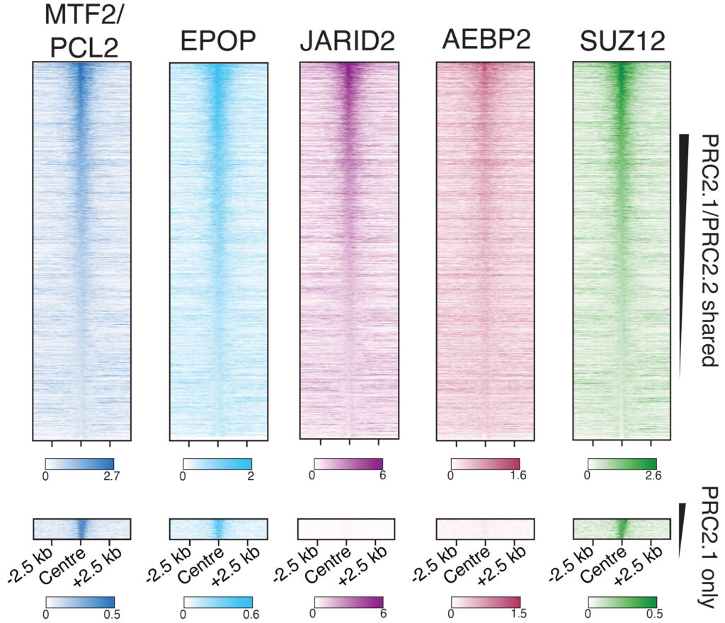 Cancer genomics and precision medicine - Genomics Data Science