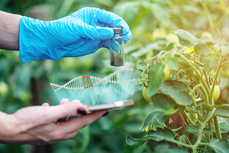 Agrigenomics, smart food and nutrigenomics - Genomics Data Science