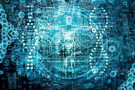 Population genomics and molecular evolution - Genomics Data Science