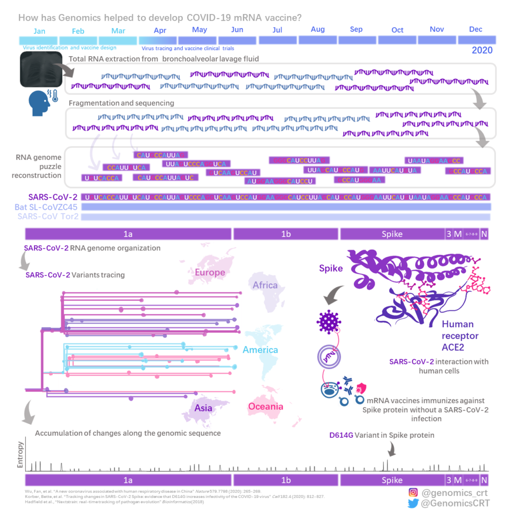 How genomics data science has helped to develop the COVID-19 mRNA ...